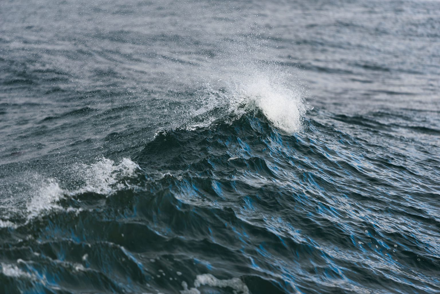 Elogrid™ - Elomatic